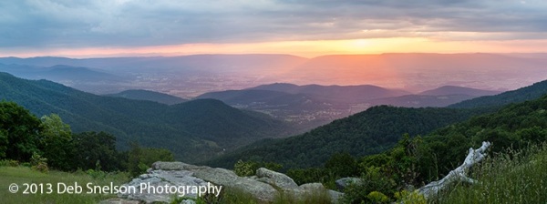 Virginia