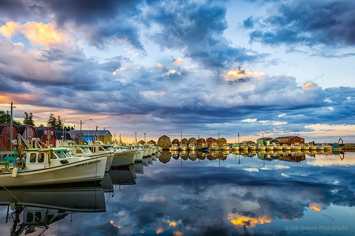 FIne Art Photography - Deb Snelson