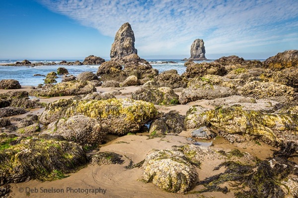 Pacific Northwest Coast and Waterfalls — Deb Snelson Photography | Fine Art